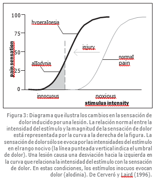 Revista El Dolor - Neuroplasticidad y Dolor